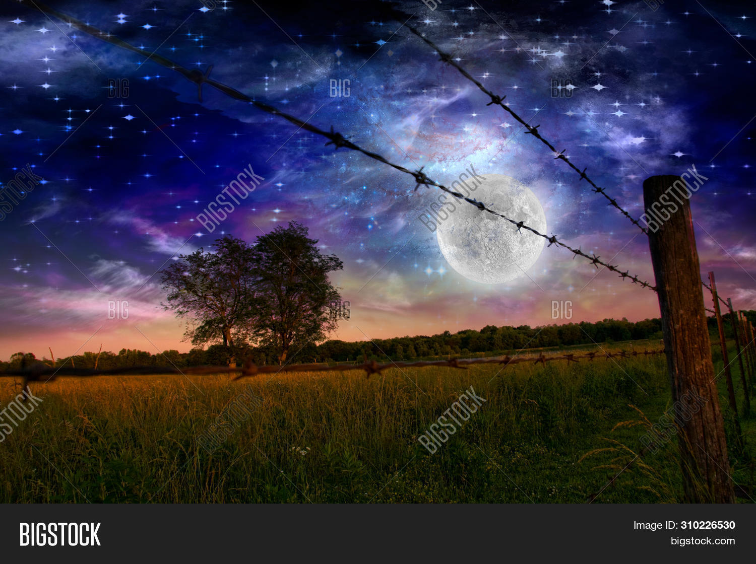 Starry Night Bright Image & Photo (Free Trial) | Bigstock