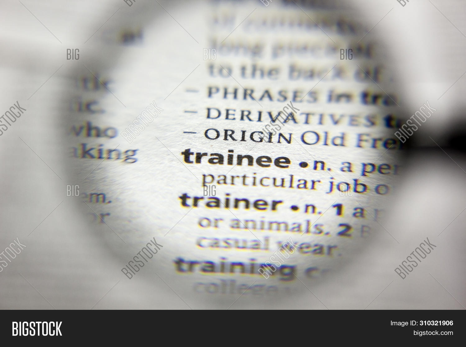 Word Phrase Trainee Image & Photo (Free Trial) | Bigstock