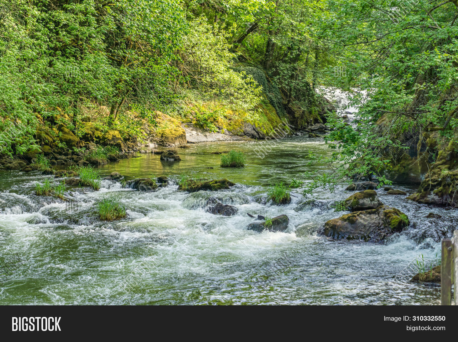 View Rapids On Image & Photo (Free Trial) | Bigstock