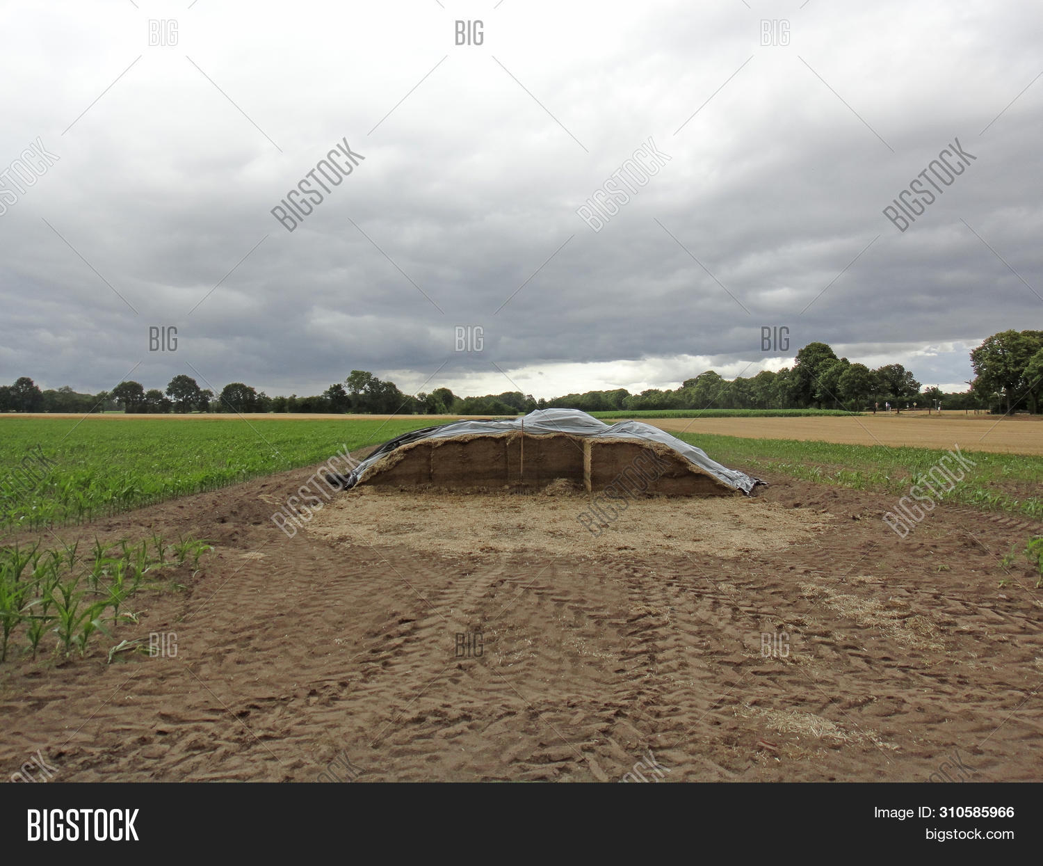 Silo Background Image & Photo (Free Trial) | Bigstock