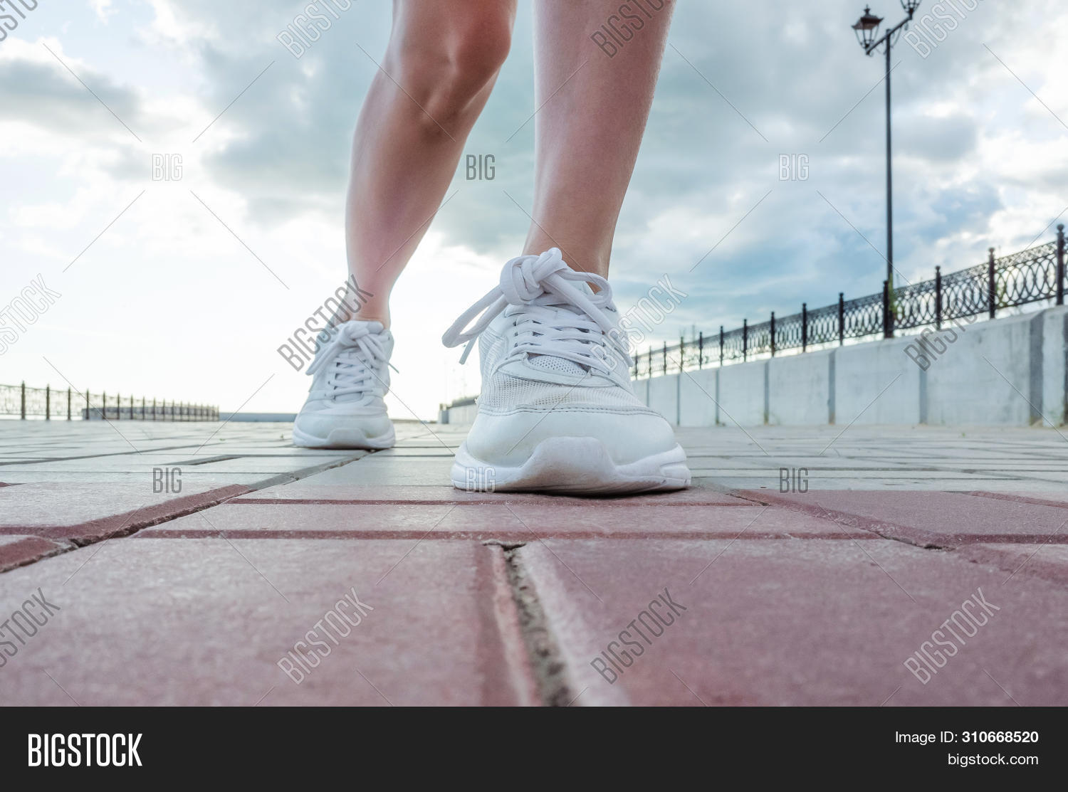 Female Slender Legs Image & Photo (Free Trial) | Bigstock