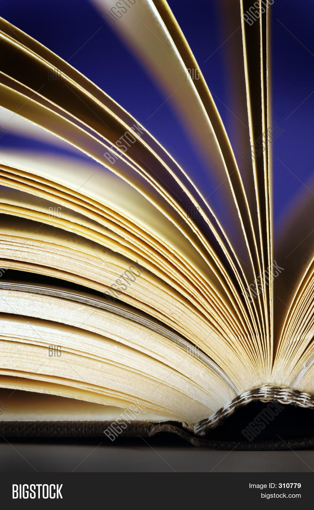 Book Image & Photo (Free Trial) | Bigstock