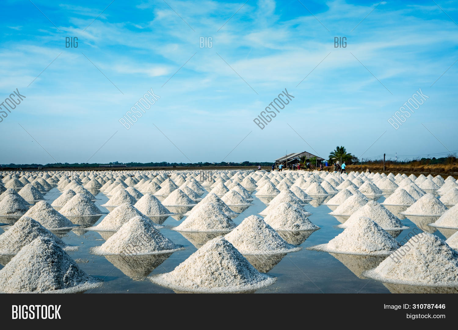 Sea Salt Farm Barn Image & Photo (Free Trial) | Bigstock