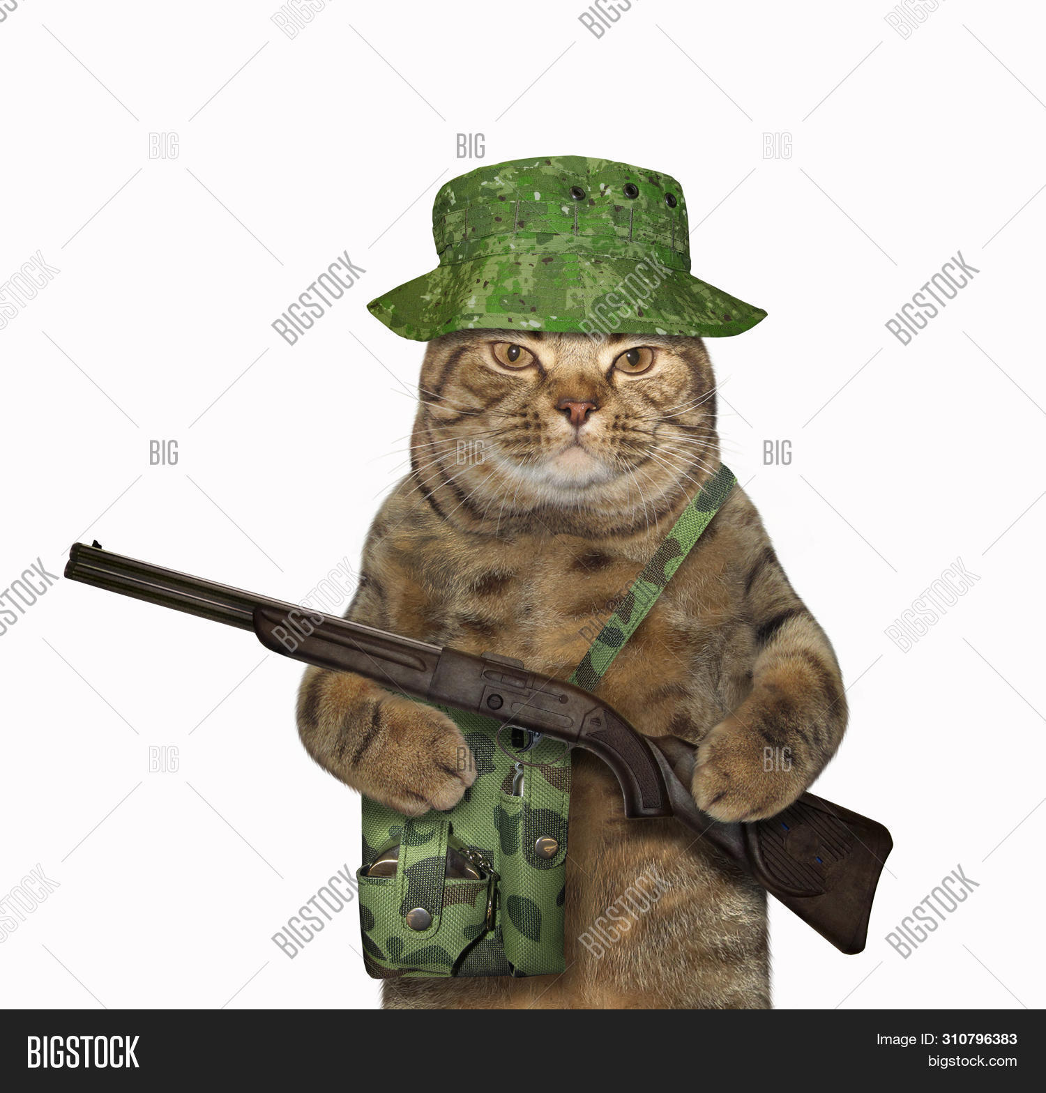 Cat Ranger Military Image & Photo (Free Trial) | Bigstock
