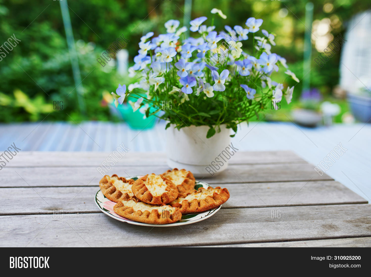 Karelian Pies ( Image & Photo (Free Trial) | Bigstock