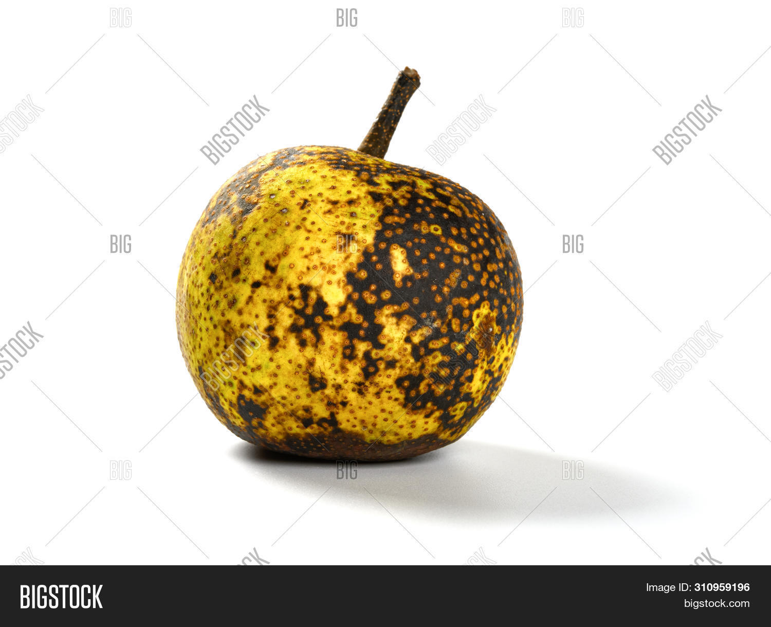 Overripe Pear On White Image & Photo (Free Trial) | Bigstock
