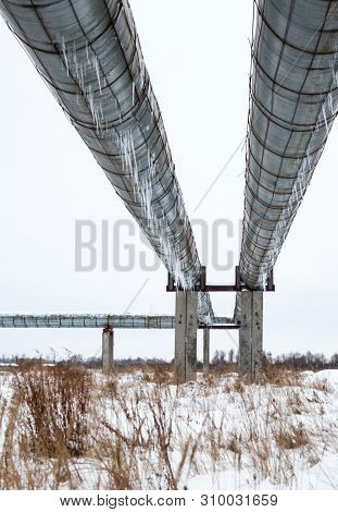 Elevated Section Image & Photo (Free Trial) | Bigstock