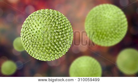 Measles Viruses. 3d Image & Photo (Free Trial) | Bigstock