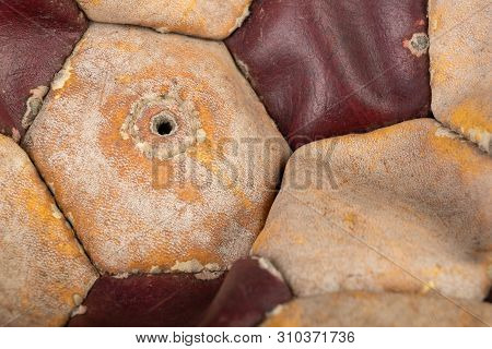 Close- Old Soccer Ball Image & Photo (Free Trial) | Bigstock