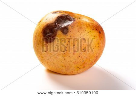 Side View Overripe Image & Photo (Free Trial) | Bigstock