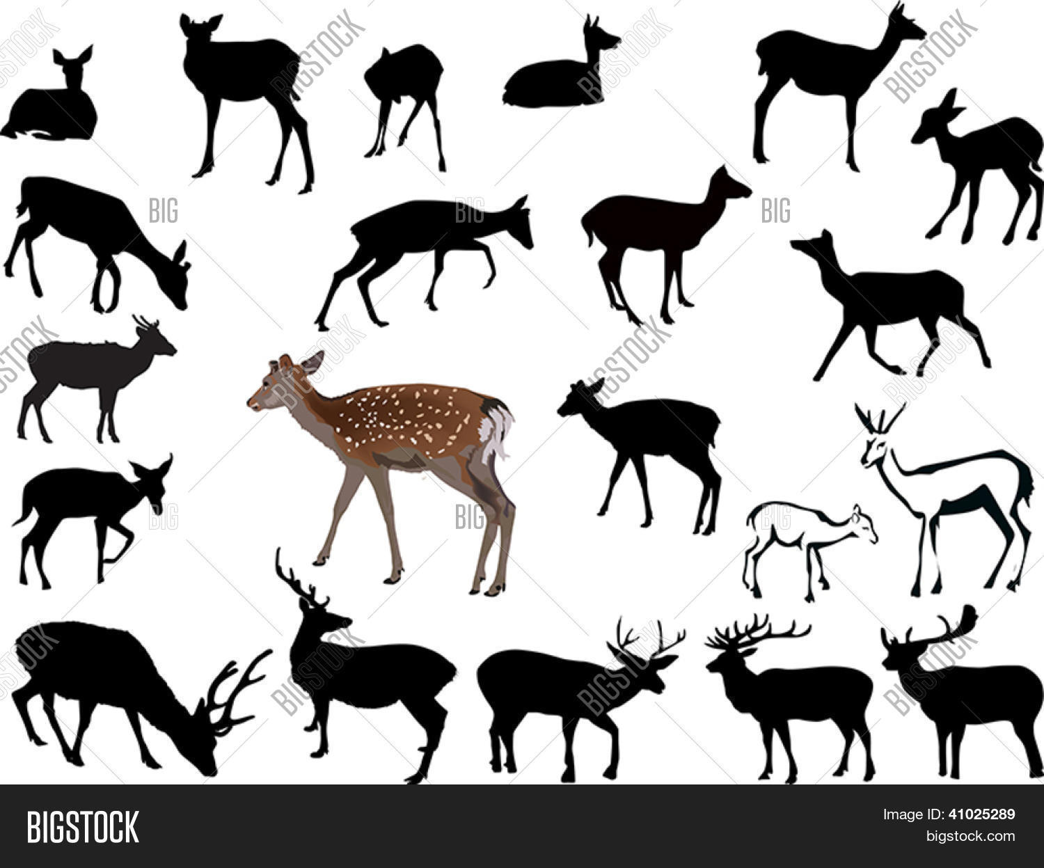 Vector y foto Ilustración Con (prueba gratis) | Bigstock