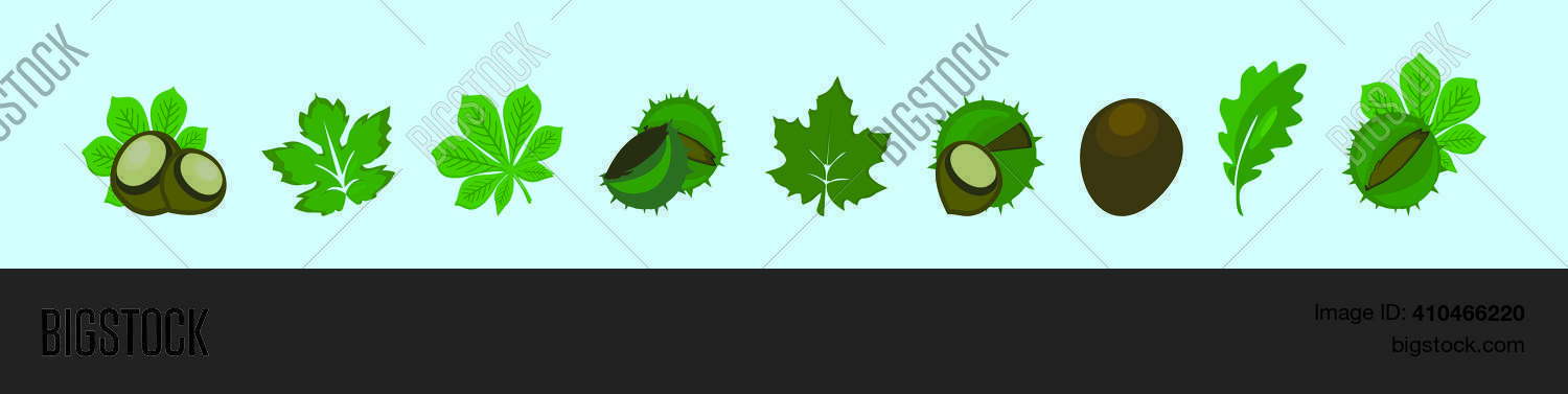 Set Buckeye Cartoon Vector & Photo (Free Trial) | Bigstock