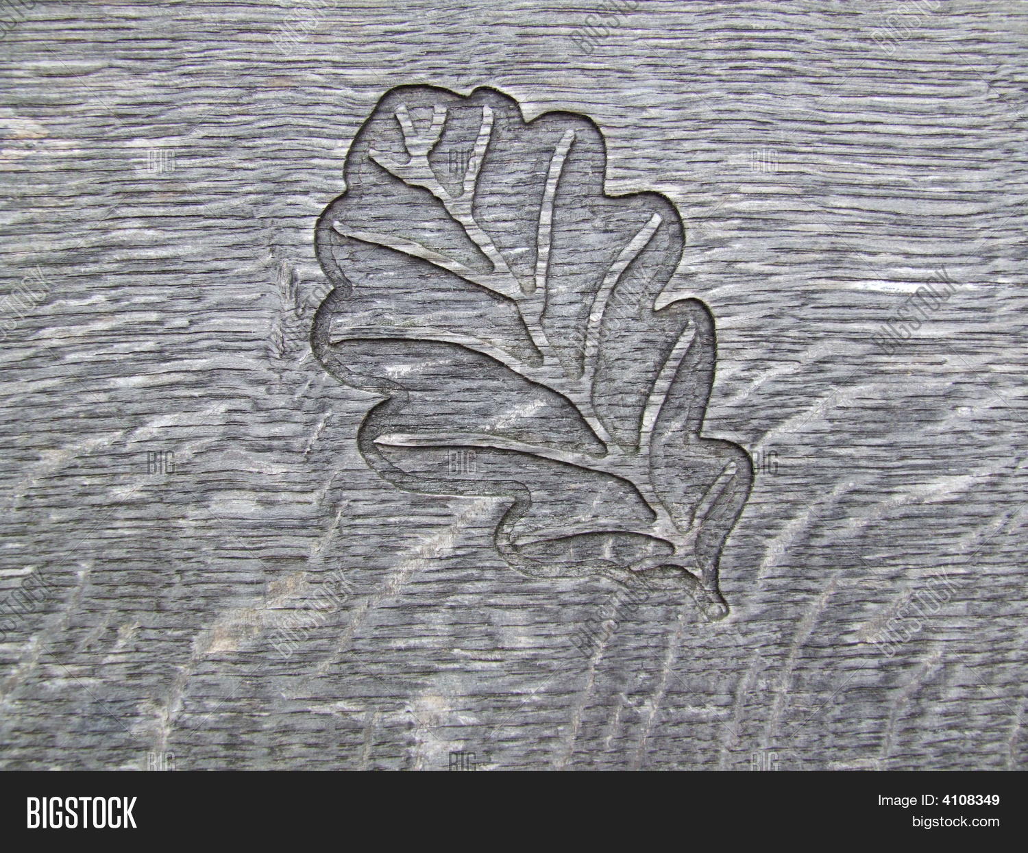 Oak Leaf Carving Image & Photo (Free Trial) | Bigstock
