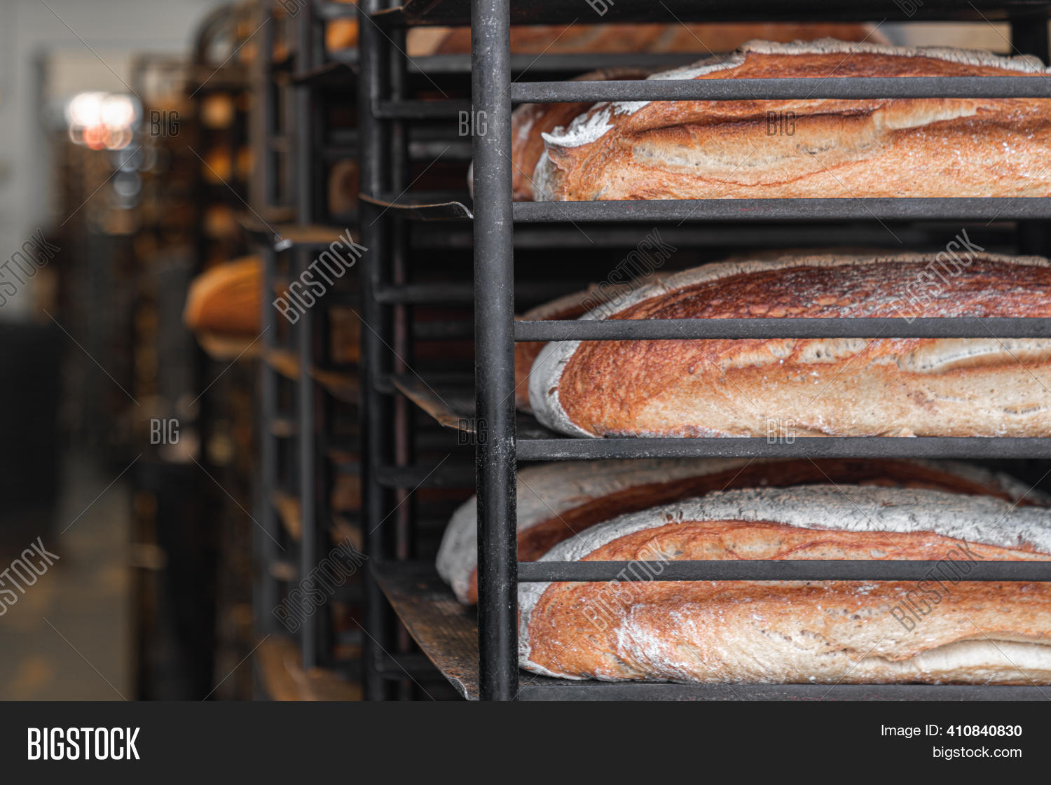 Fresh Baked Bread Image & Photo (Free Trial) | Bigstock