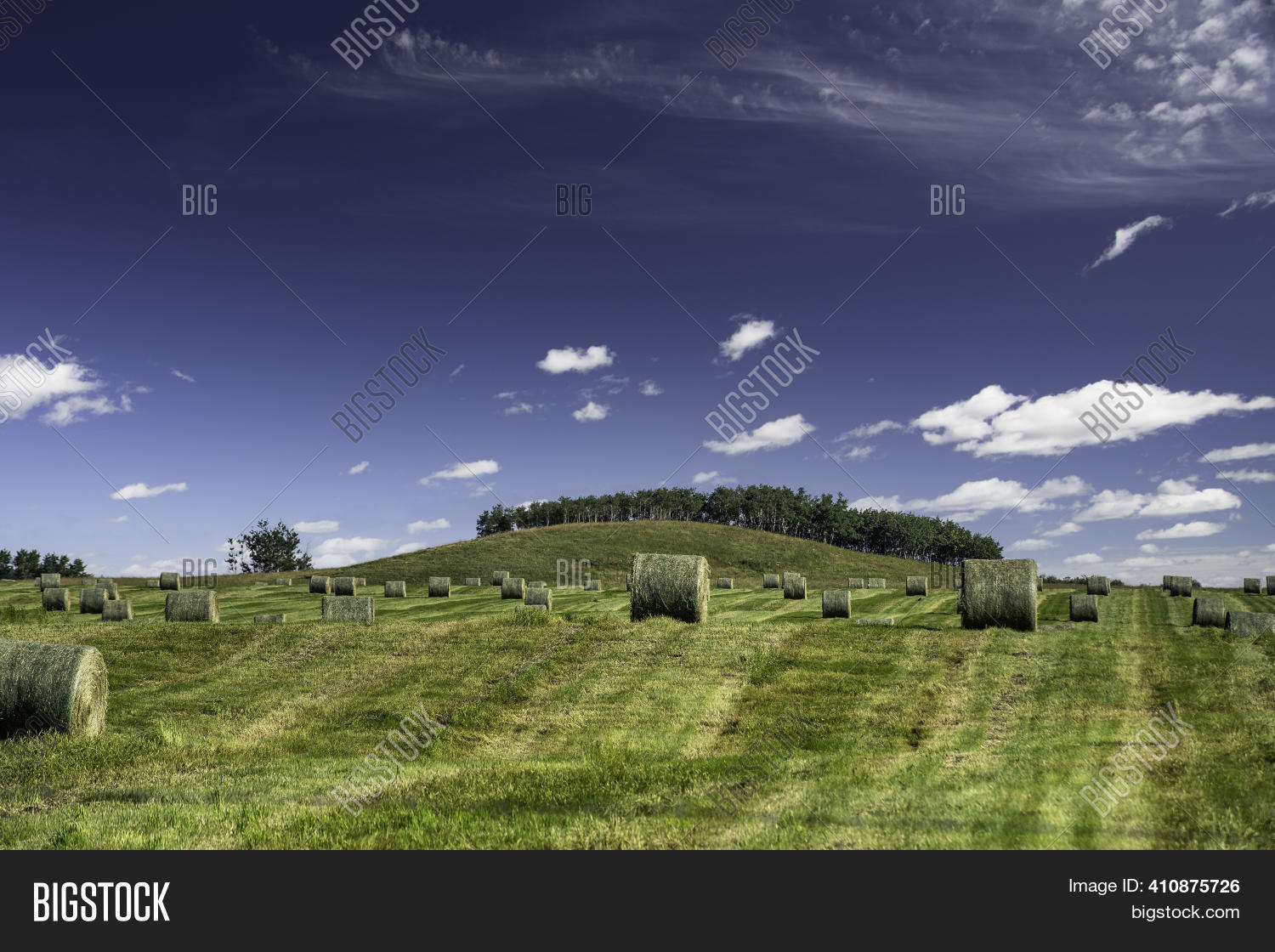 Round Hay Bales On Image & Photo (Free Trial) | Bigstock