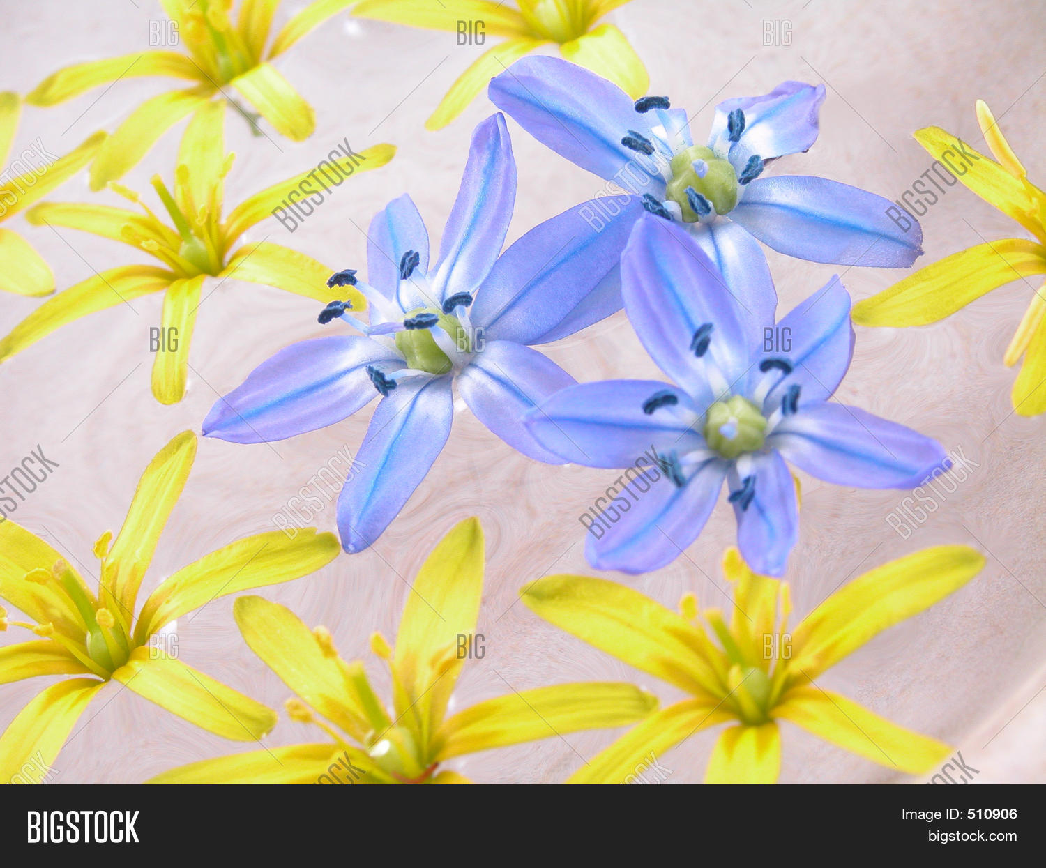 Floating Spring Image & Photo (Free Trial) | Bigstock