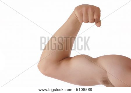 Bicep Muscle Image & Photo (Free Trial) | Bigstock