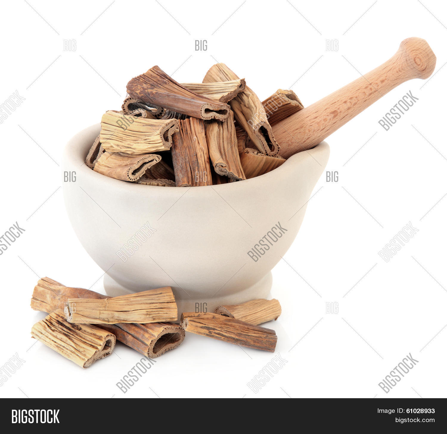 Reed Root Herb Chinese Image & Photo (Free Trial) | Bigstock