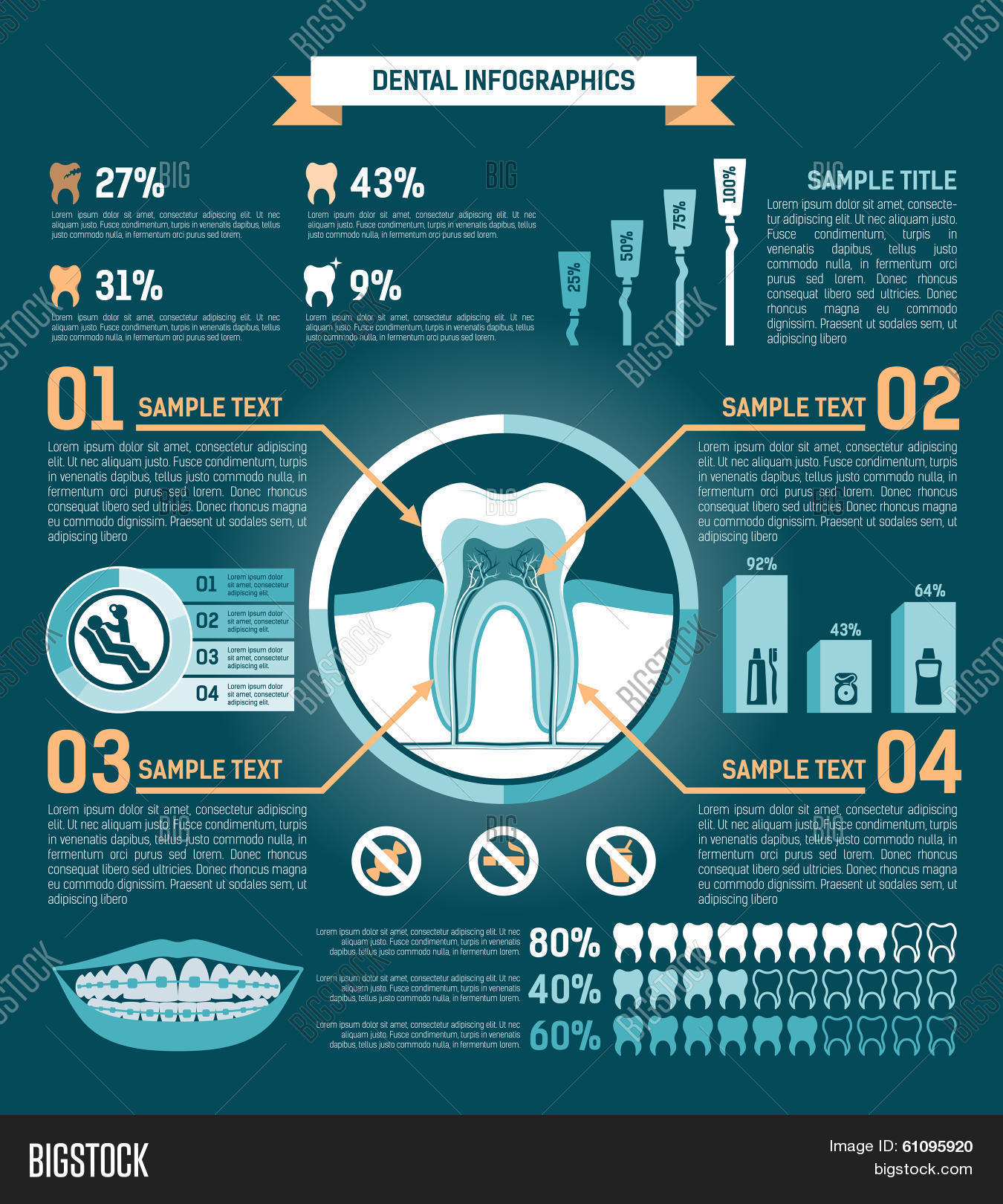 Tooth Infographic Vector & Photo (Free Trial) | Bigstock