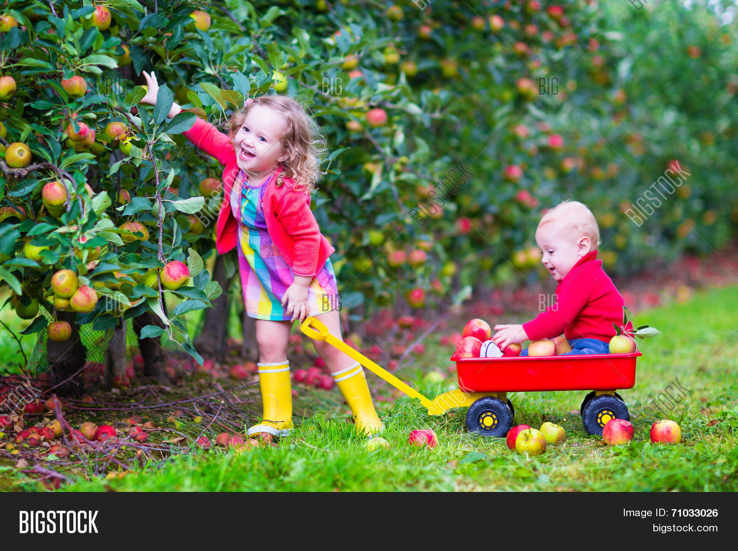 Kids Playing Apple Image & Photo (Free Trial) | Bigstock