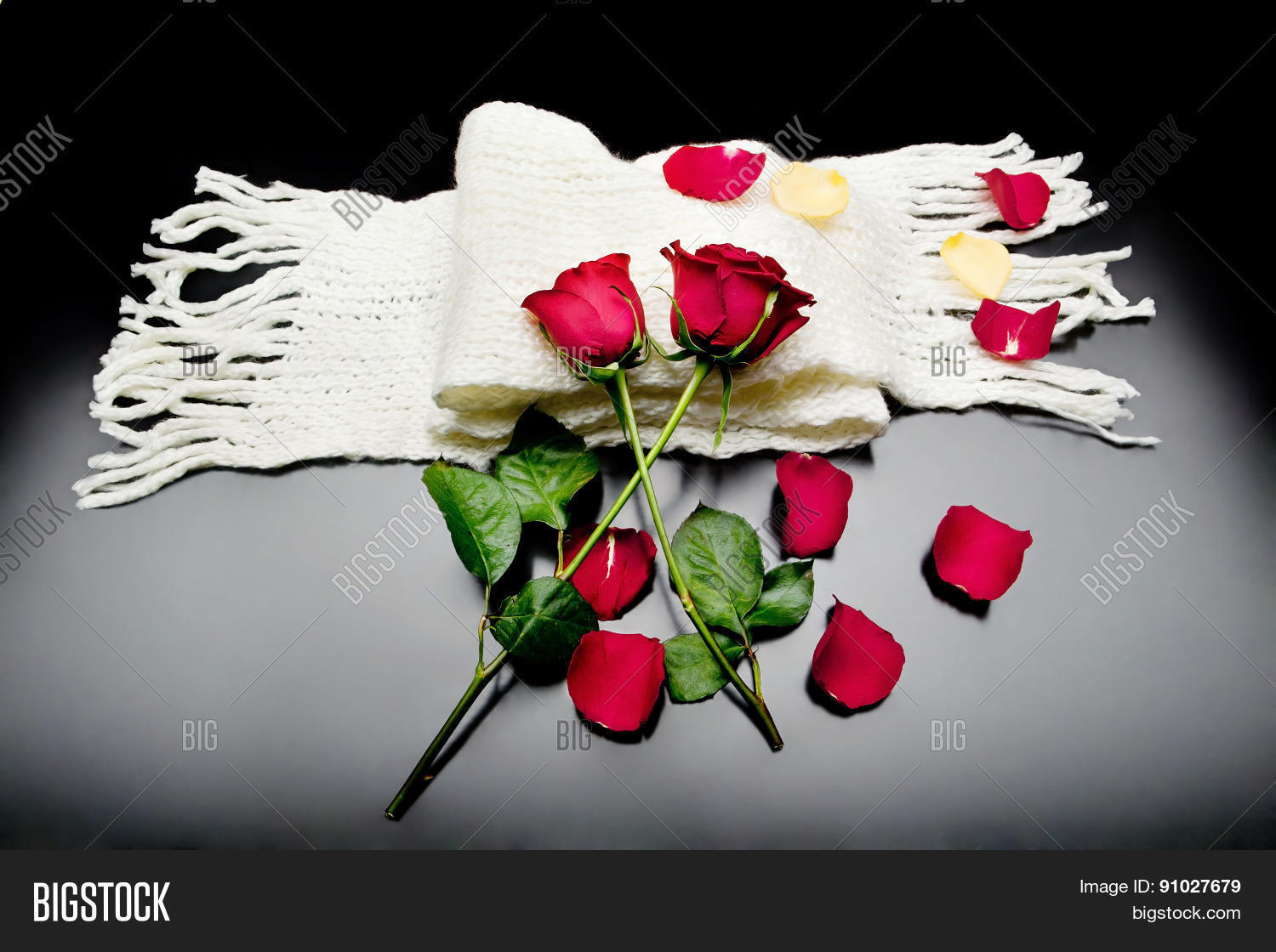 Two Red Roses Together Image & Photo (Free Trial) | Bigstock