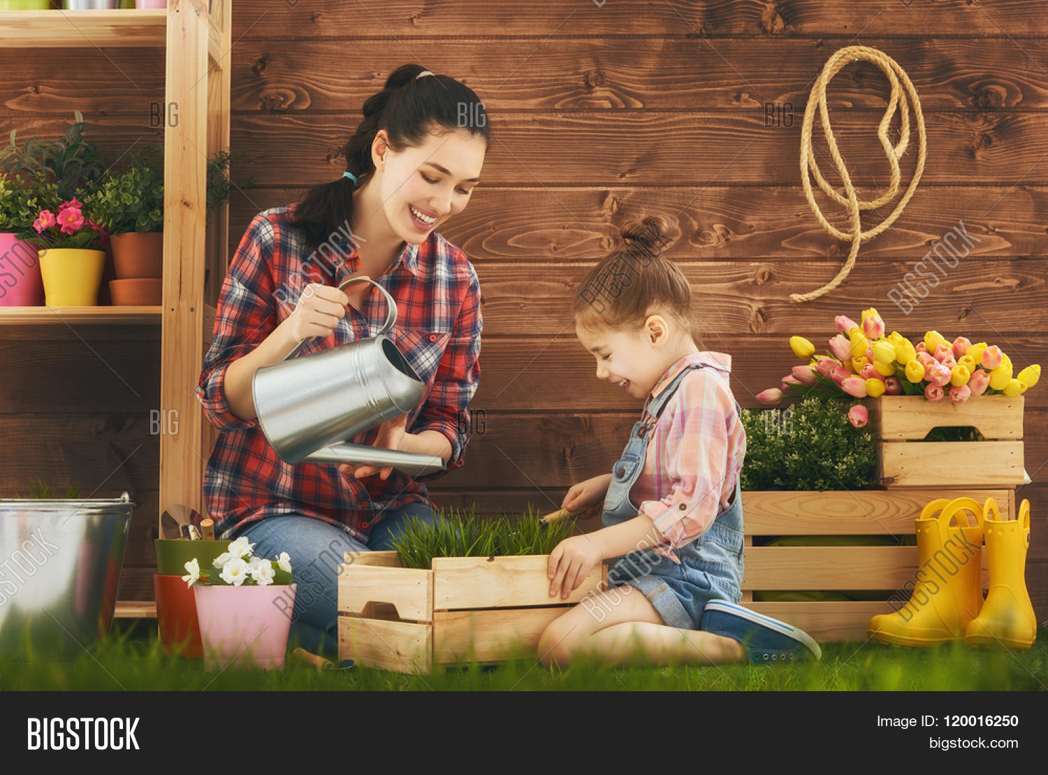 Cute Child Girl Helps Image & Photo (Free Trial) | Bigstock