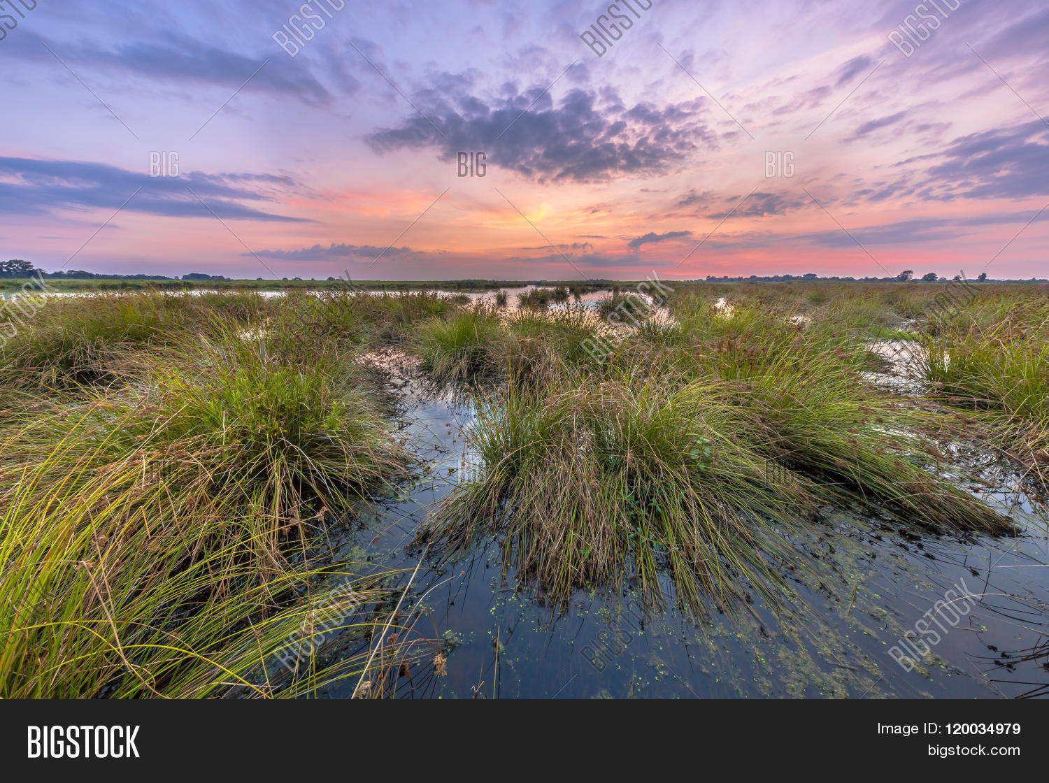 Marsh Landscape Pastel Image & Photo (Free Trial) | Bigstock