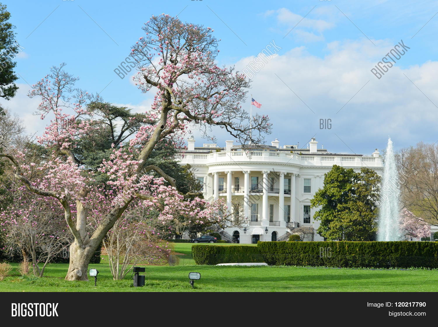 Imagen y foto White House Spring (prueba gratis) | Bigstock