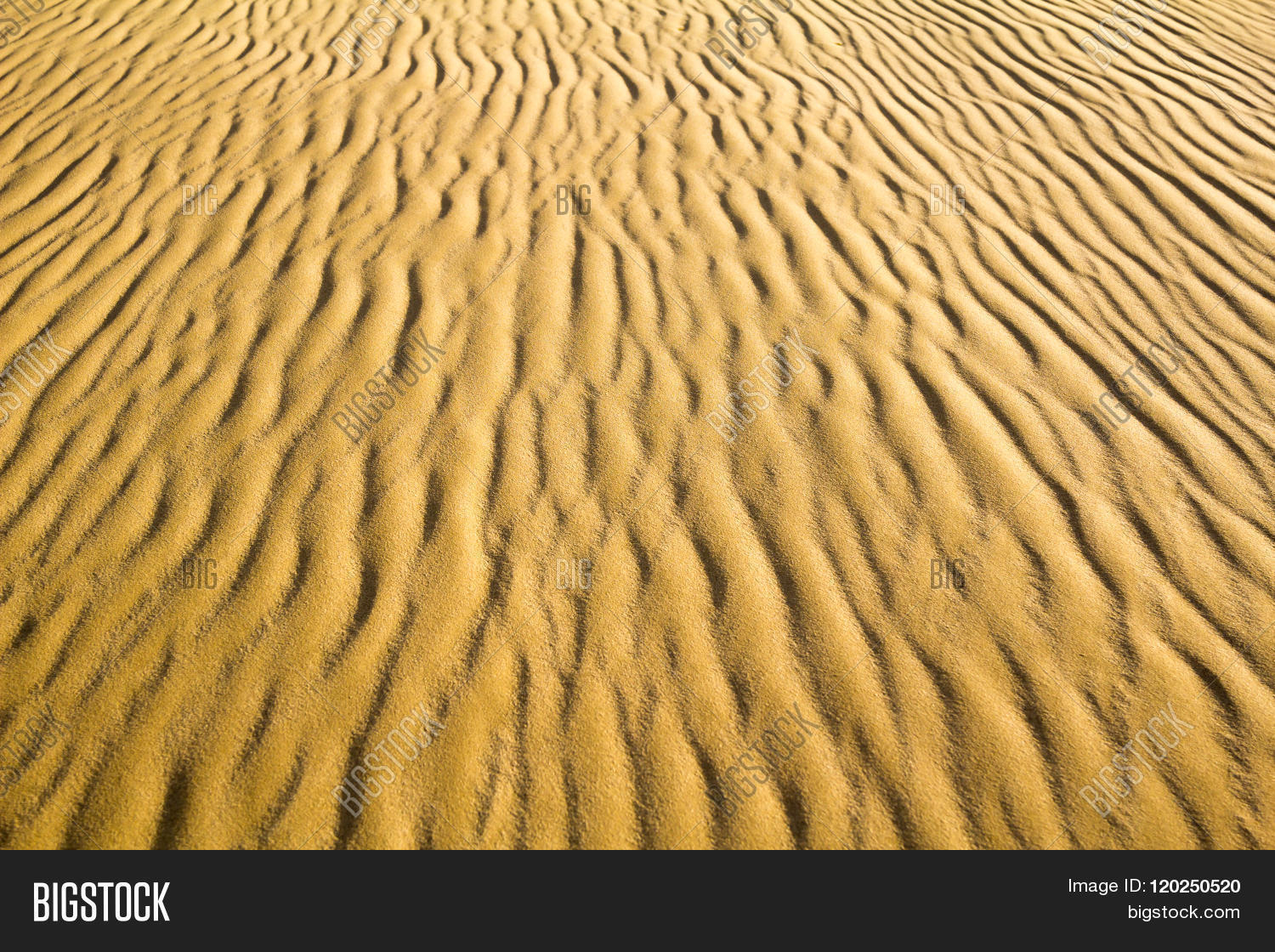 Natural Sand Ripple Image & Photo (Free Trial) | Bigstock