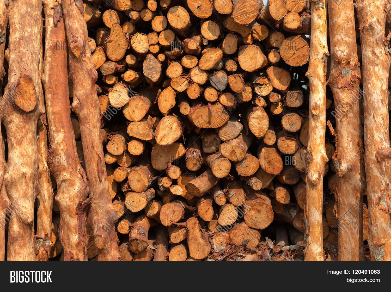 Stack Wood, Wood Image & Photo (Free Trial) | Bigstock