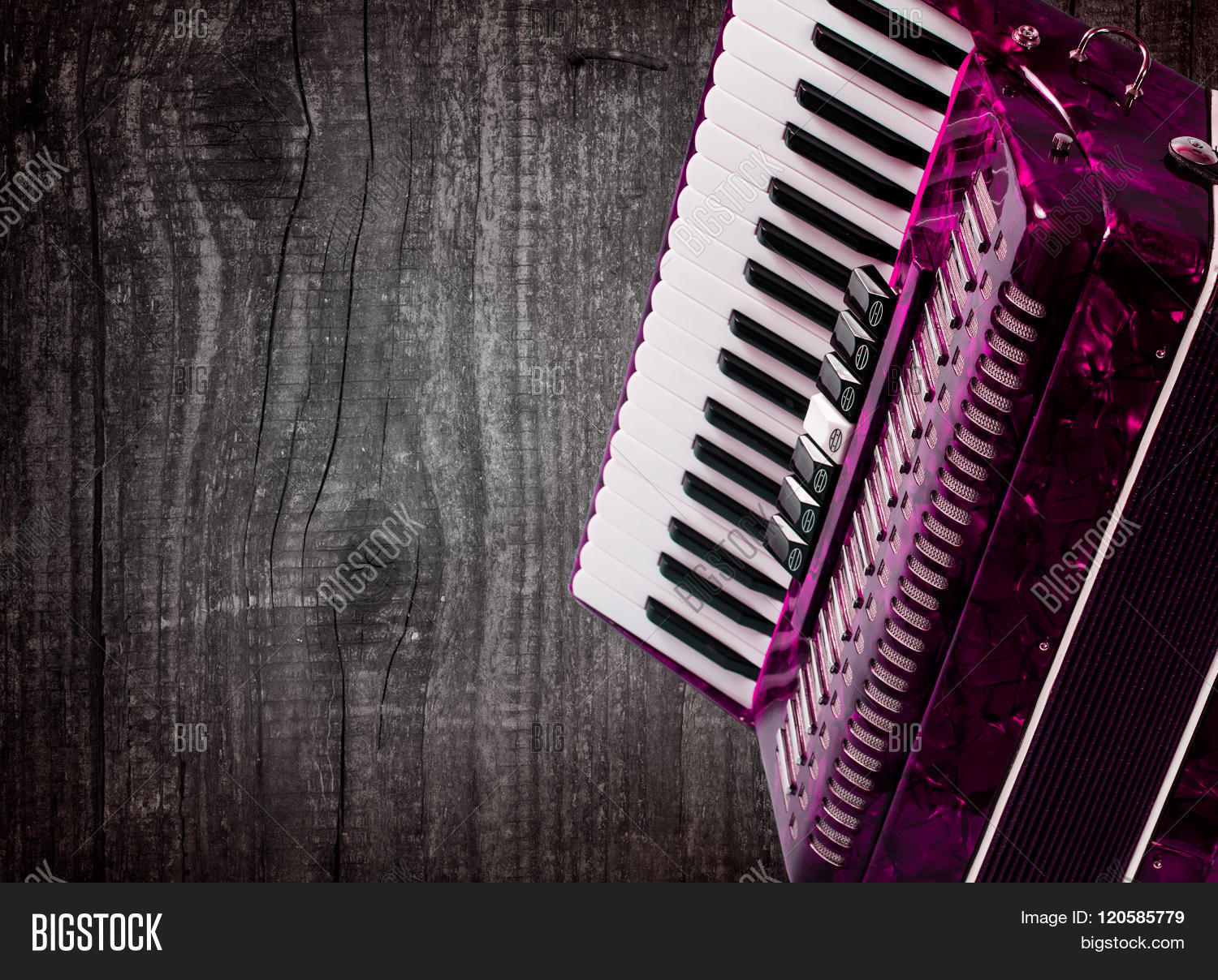 Part Pink Accordion On Image & Photo (Free Trial) | Bigstock