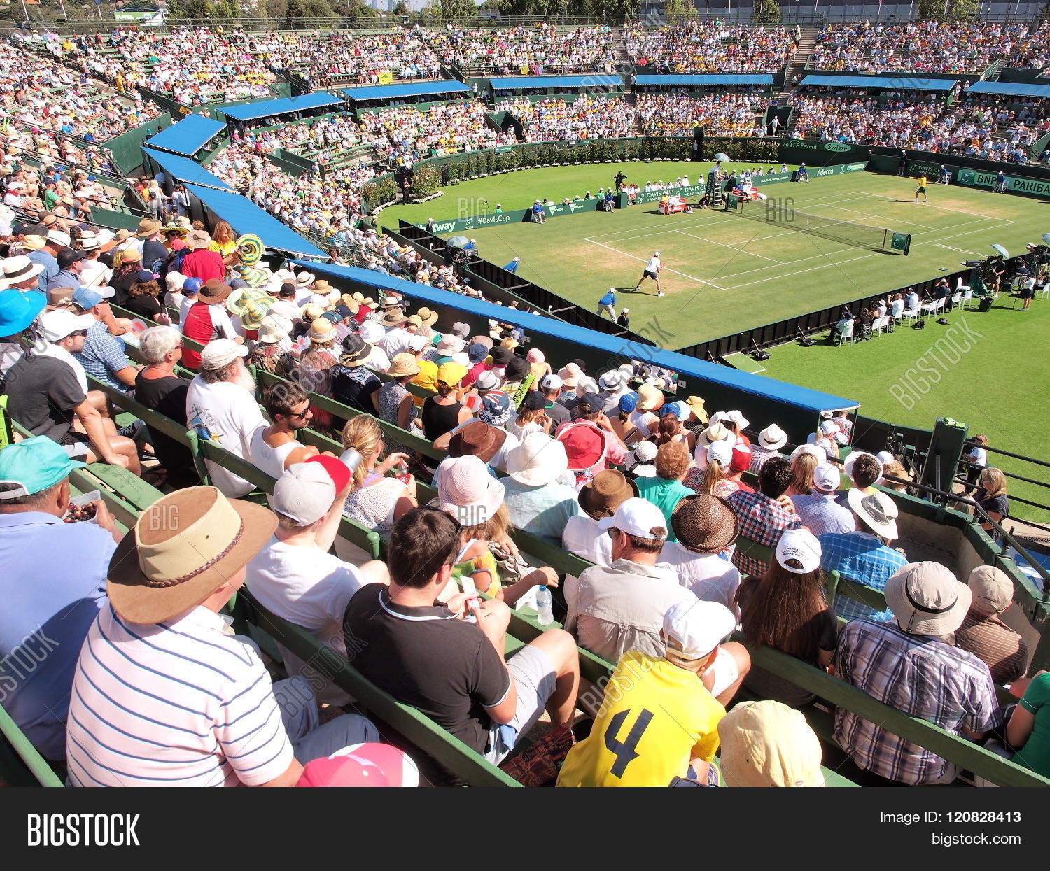 Davis Cup Australia Image & Photo (Free Trial) | Bigstock