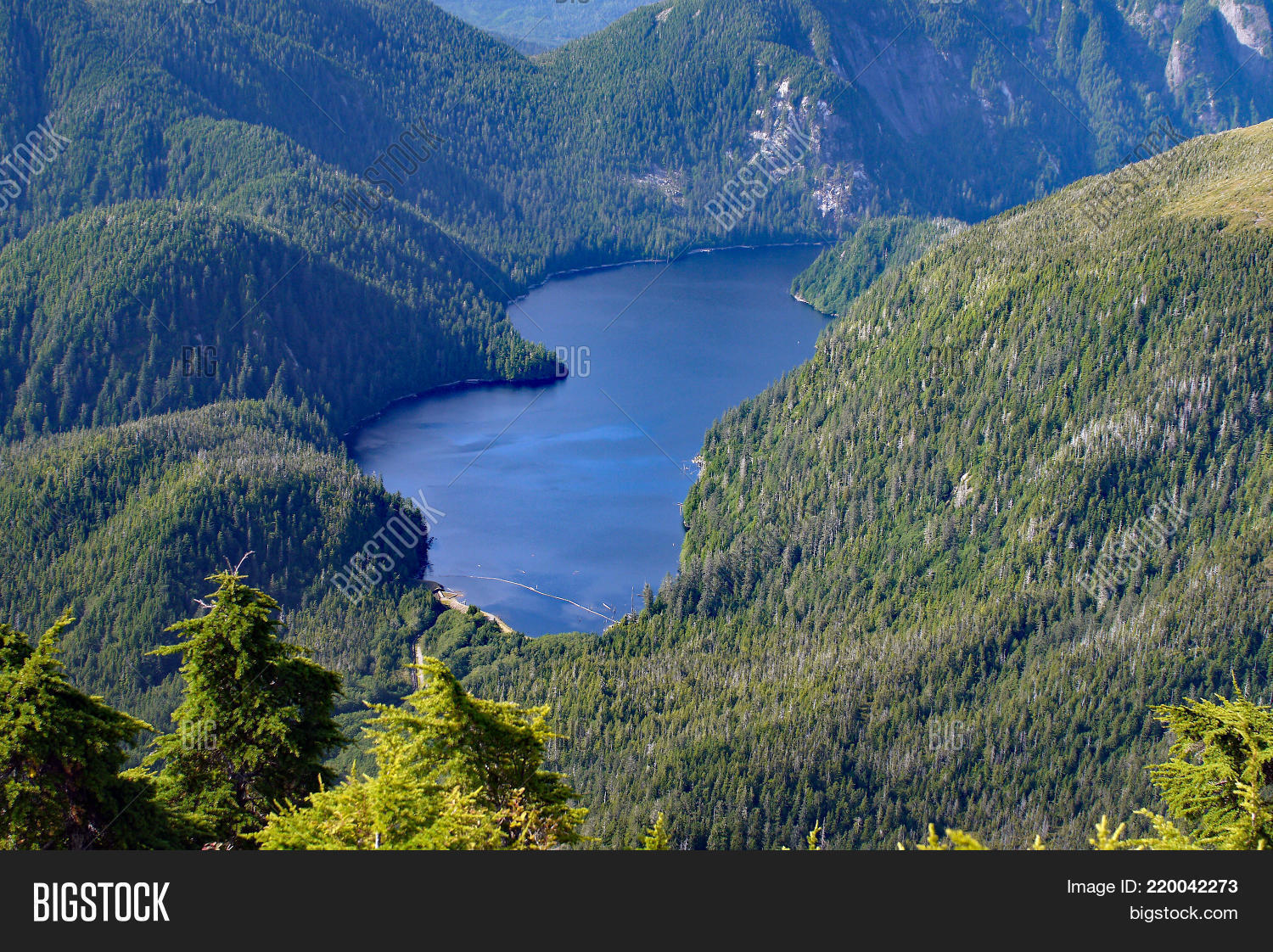 View Forested Peaks Image & Photo (Free Trial) | Bigstock