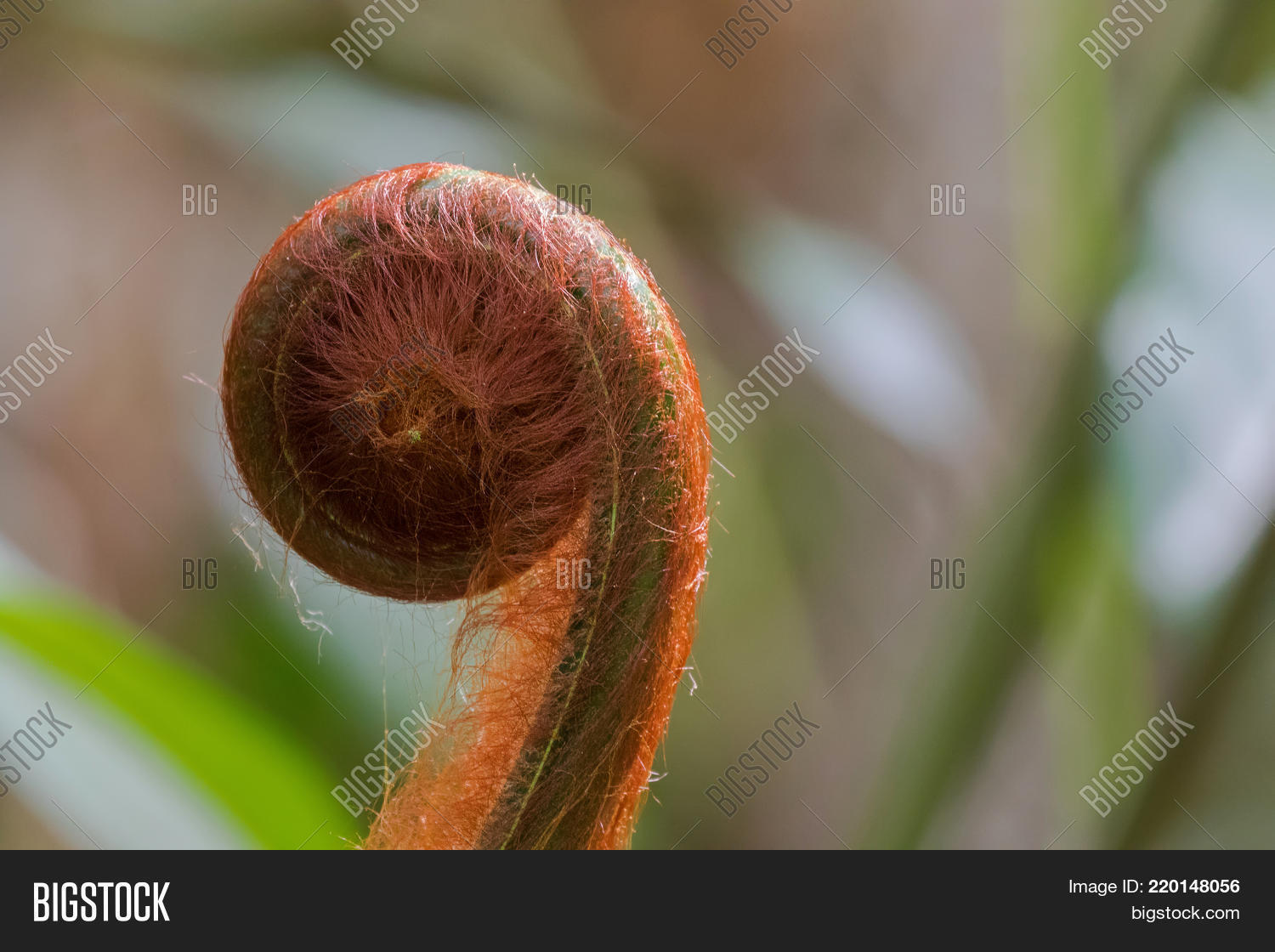 Unfurling Deutsch