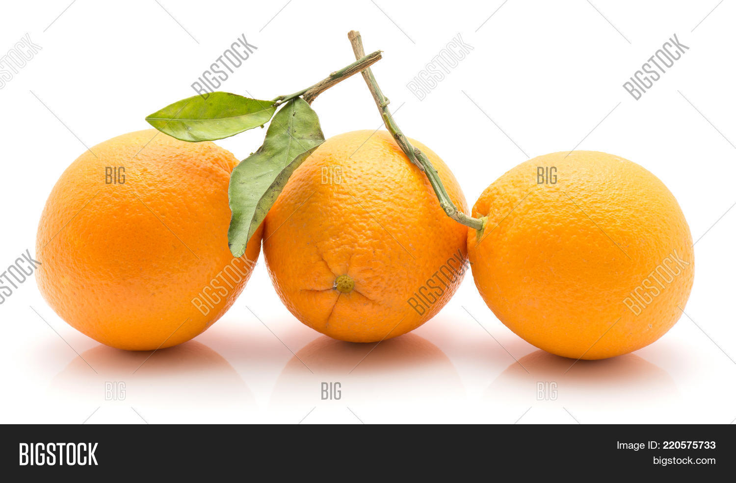 Three Oranges Green Image & Photo (Free Trial) | Bigstock