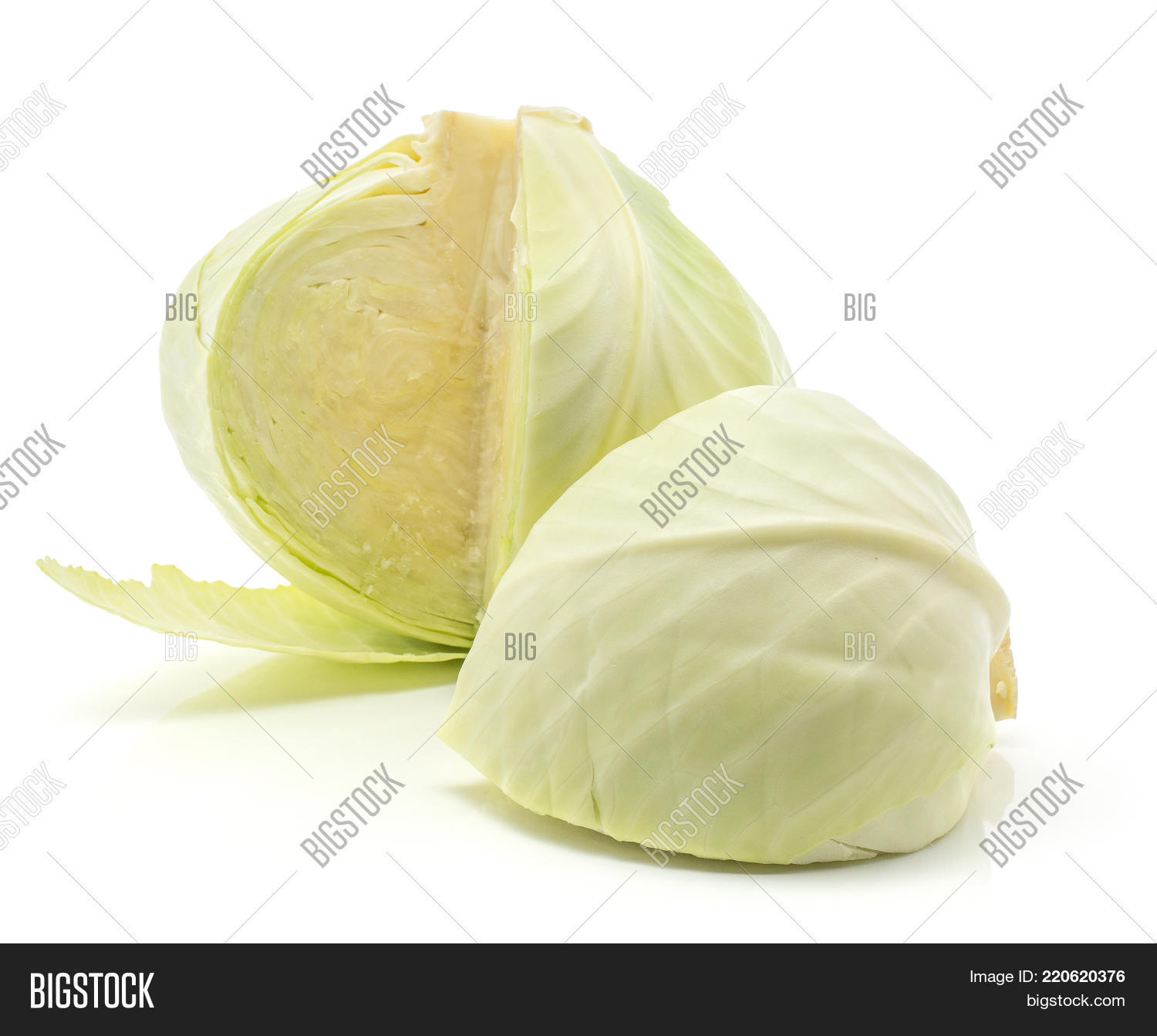White Cabbage Isolated Image & Photo (Free Trial) | Bigstock