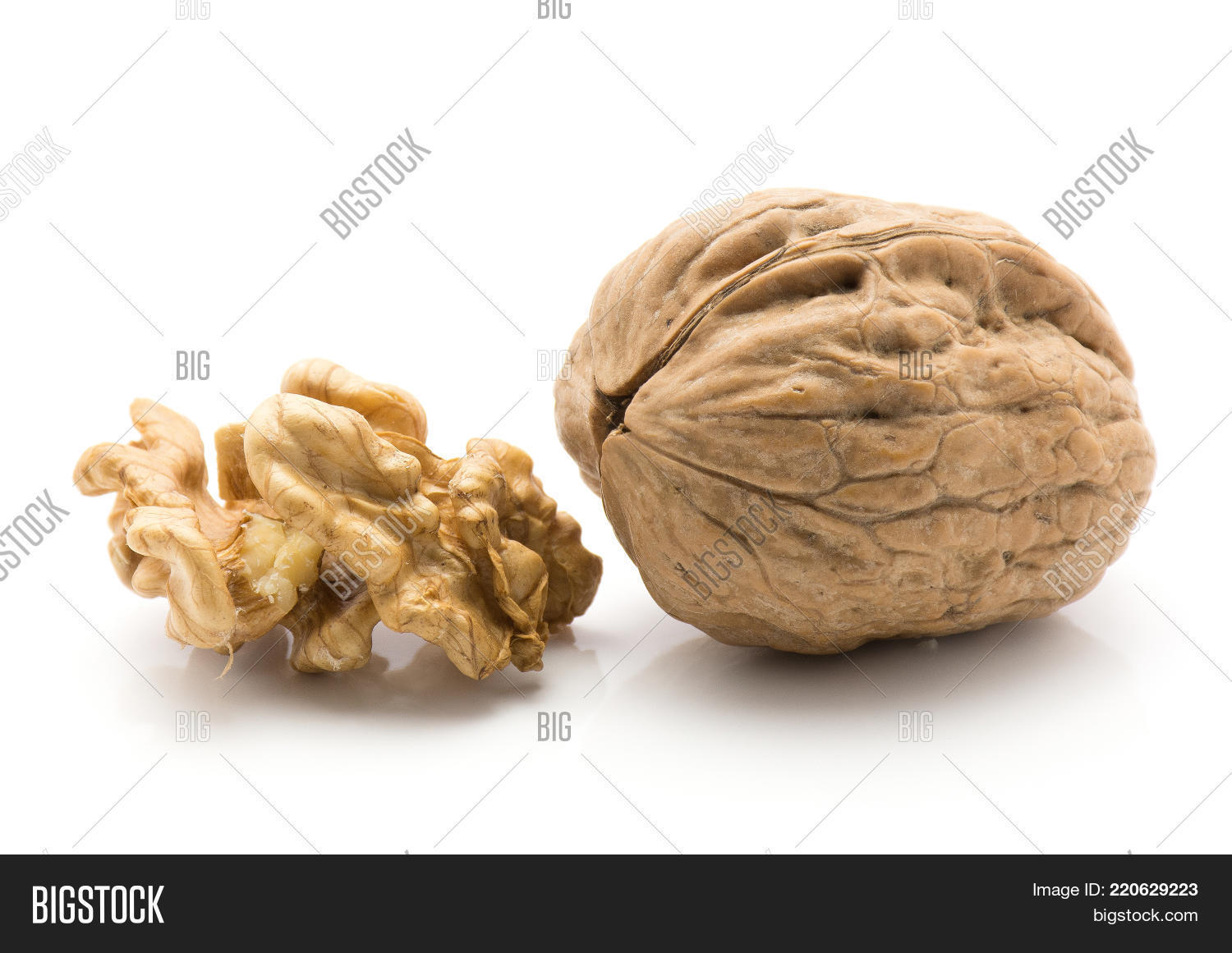 One Shelled Walnut Image & Photo (Free Trial) | Bigstock