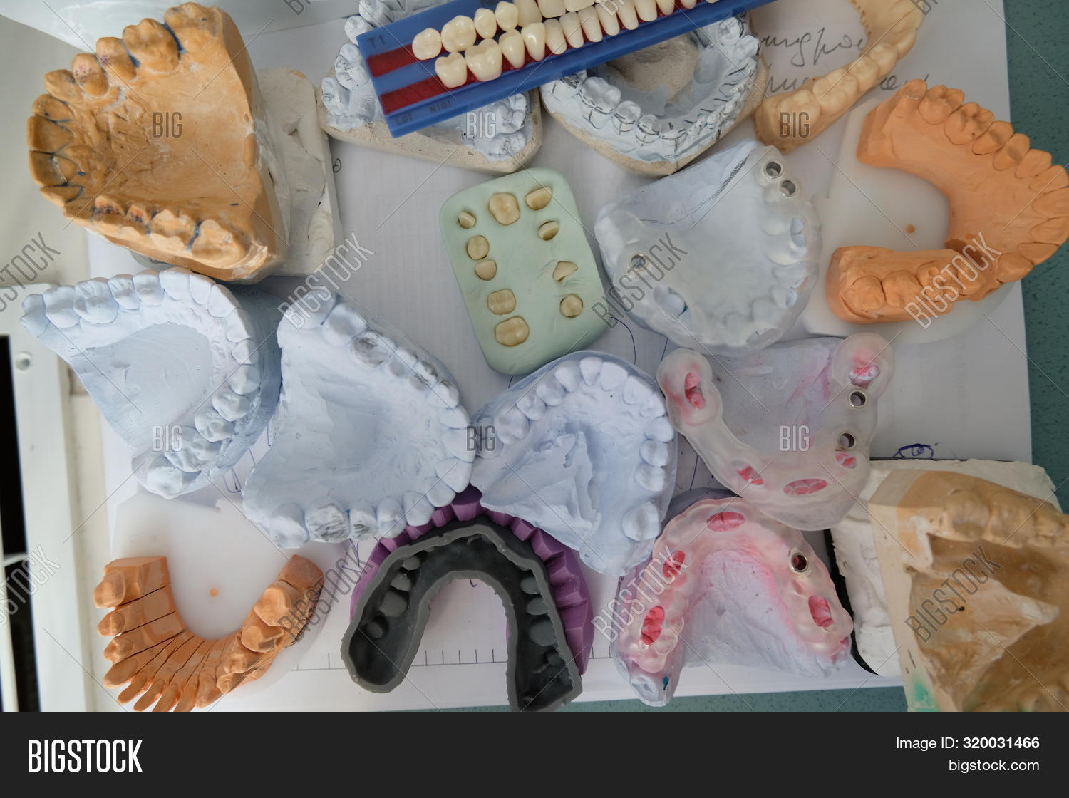 Dentoforms, Dental Image & Photo (Free Trial) | Bigstock