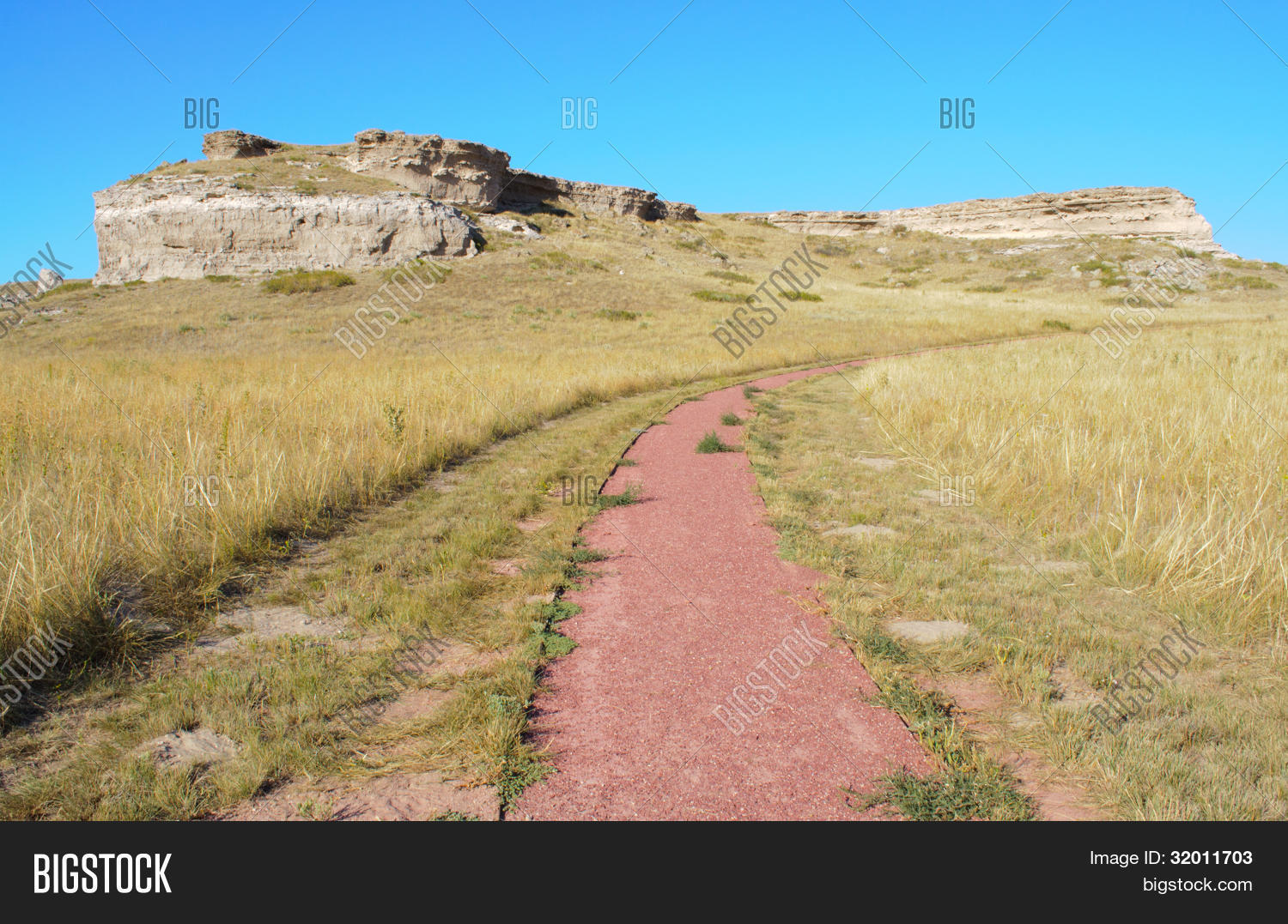 Daemonelix Trial Image & Photo (Free Trial) | Bigstock