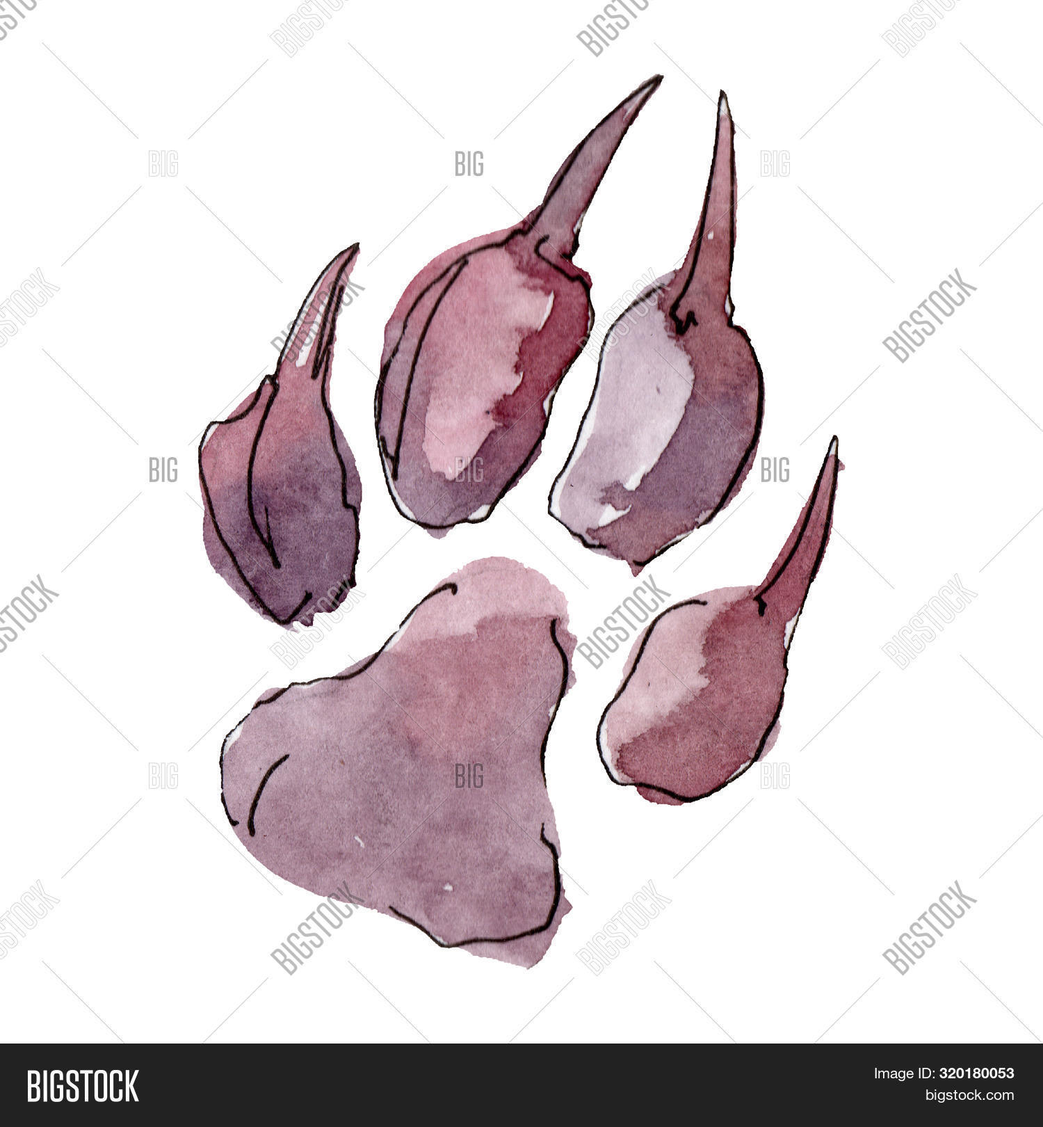 Rabbit Hoof Farm Image & Photo (Free Trial) | Bigstock