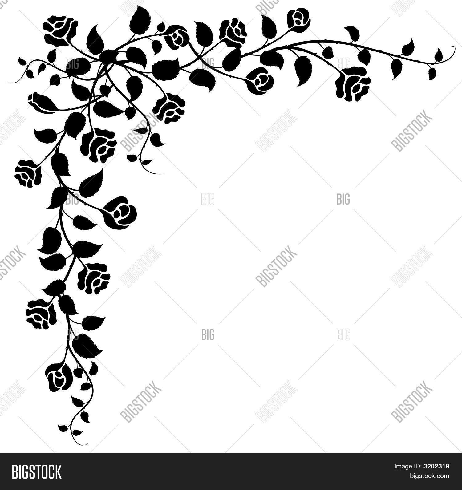 Rose Corner Vector & Photo (Free Trial) | Bigstock