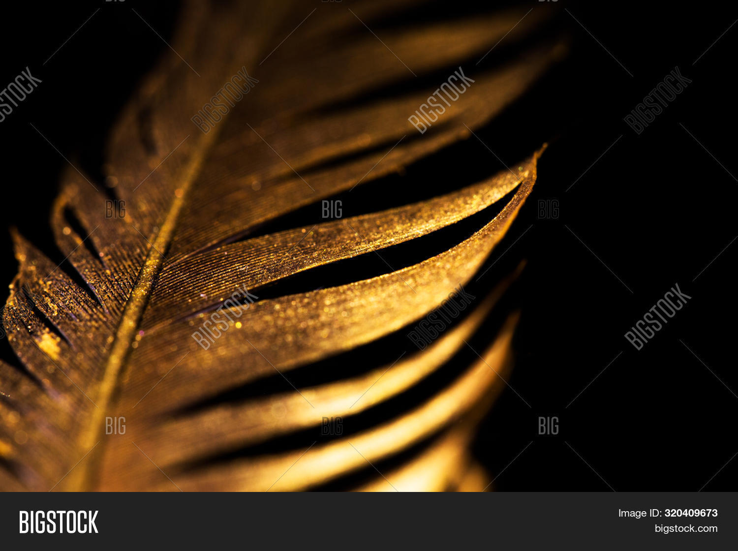 Feather Covered Gold Image & Photo (Free Trial) | Bigstock