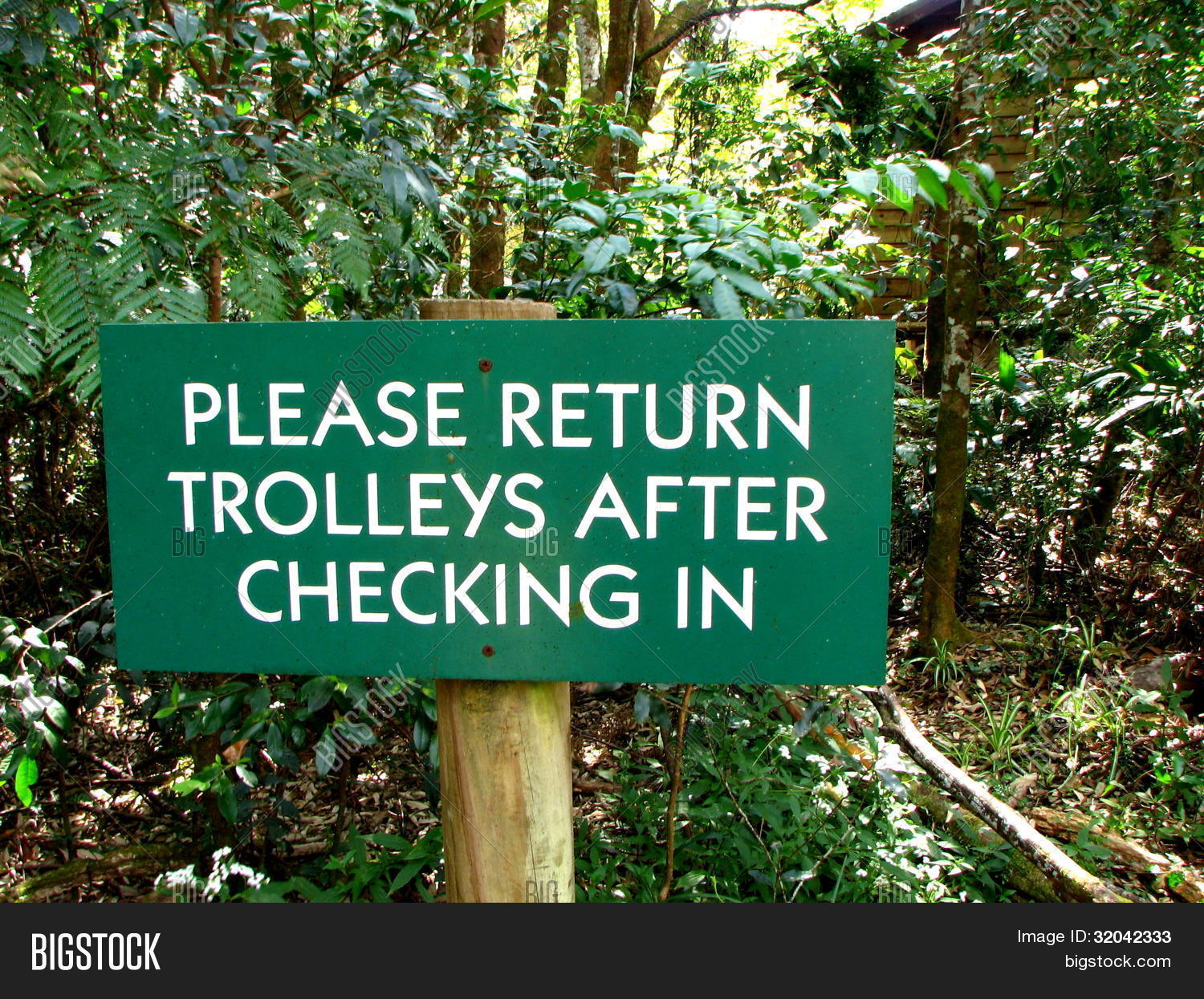 ภาพและภาพถ่าย (ทดลองใช้ฟรี) | Bigstock