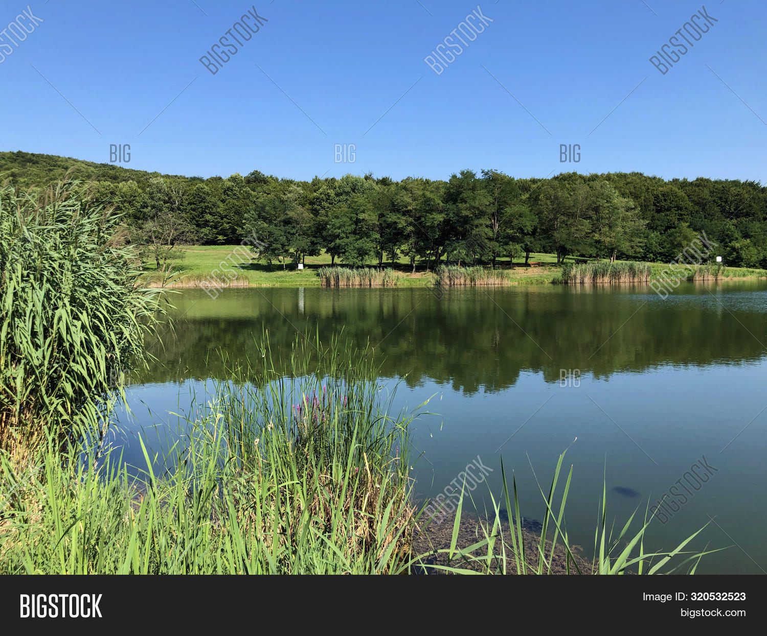 Small Reservoir Lake Image & Photo (Free Trial) | Bigstock