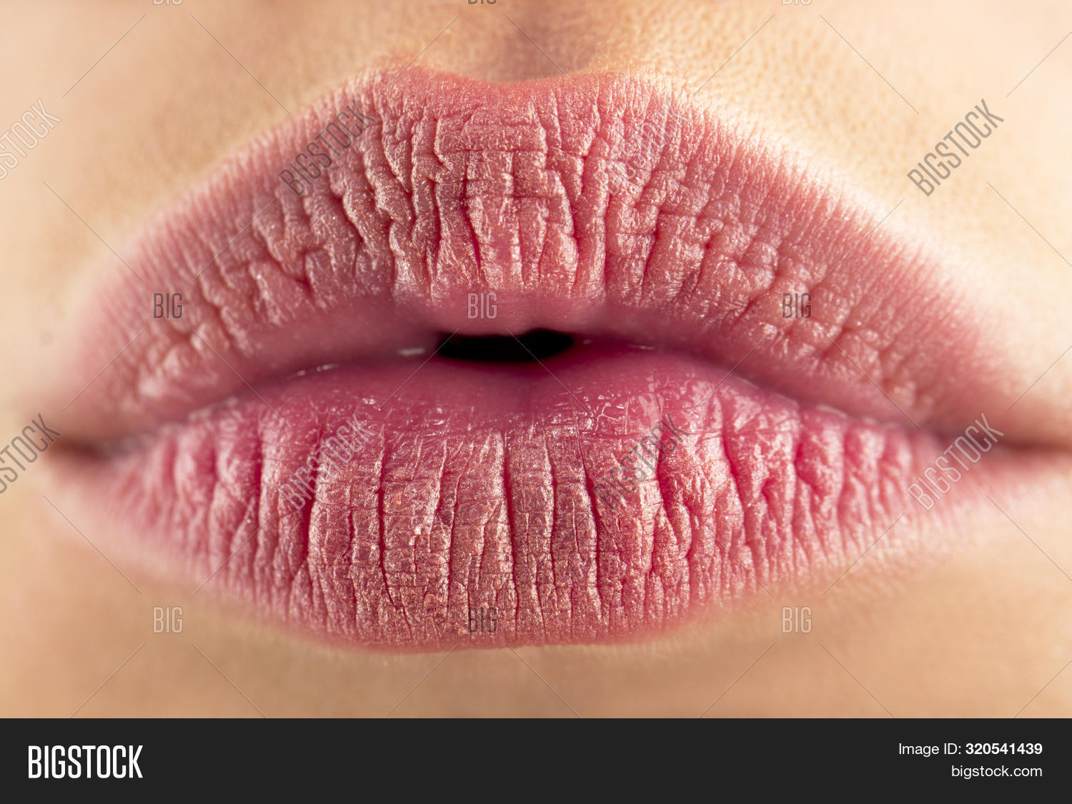 Perfect Natural Lip Image & Photo (Free Trial) | Bigstock