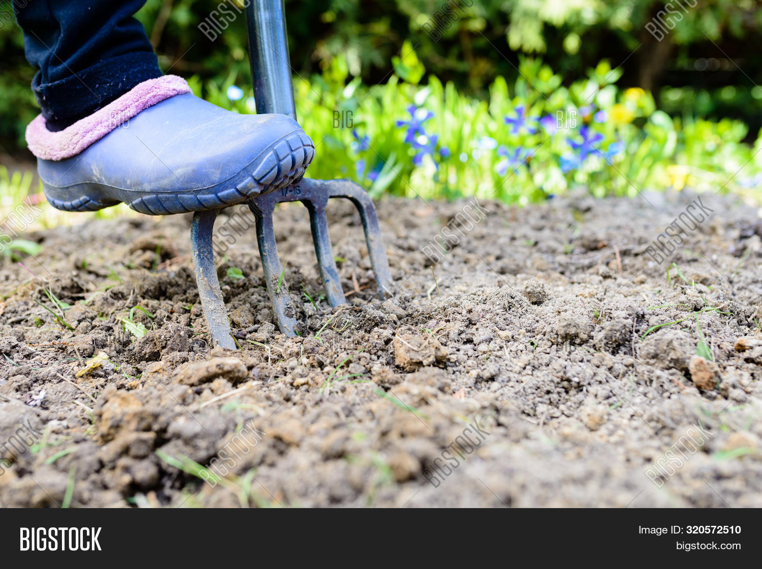 Gardener Digging Earth Image & Photo (Free Trial) | Bigstock