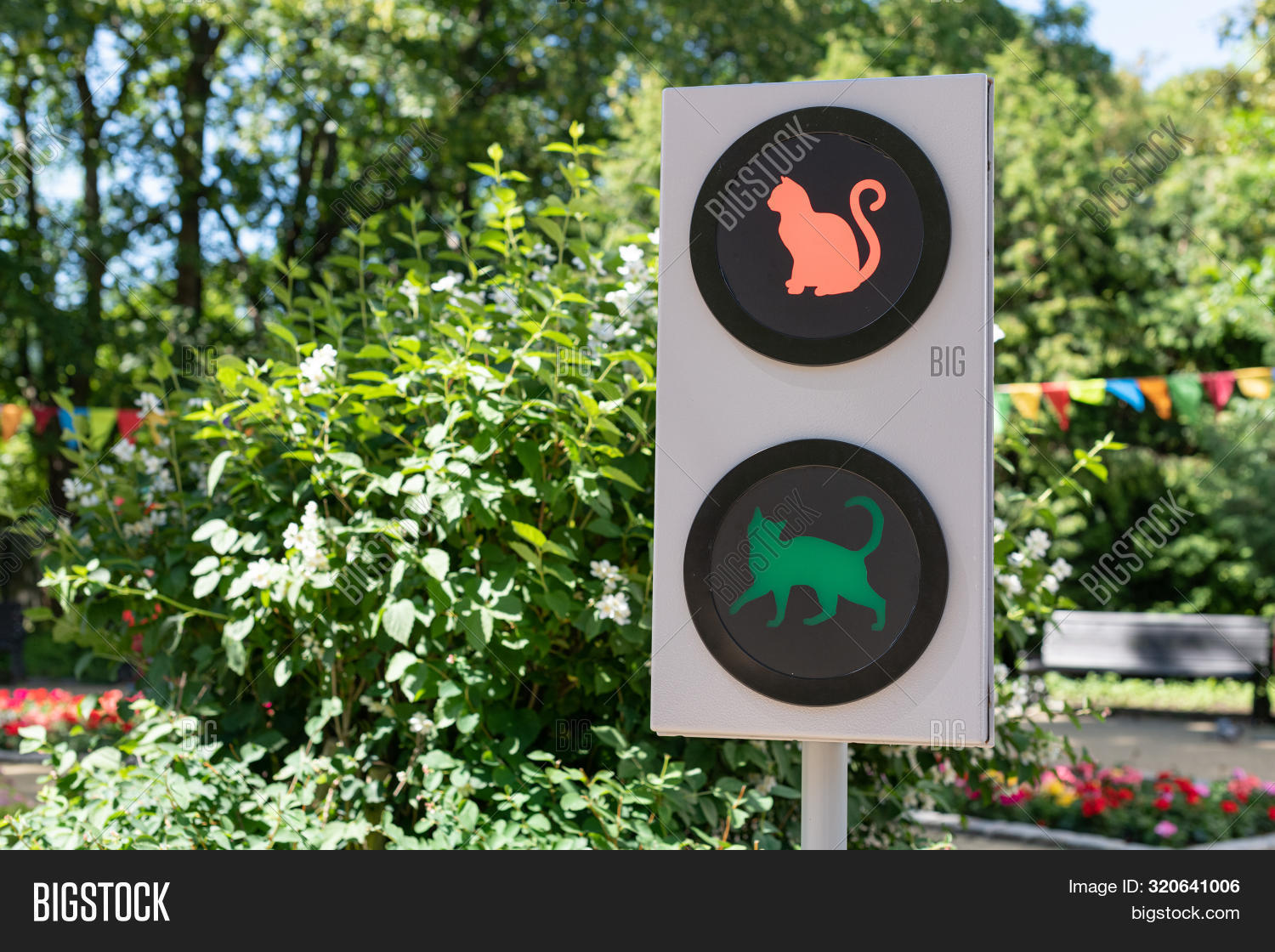 Traffic Light Cats. Image & Photo (Free Trial) | Bigstock