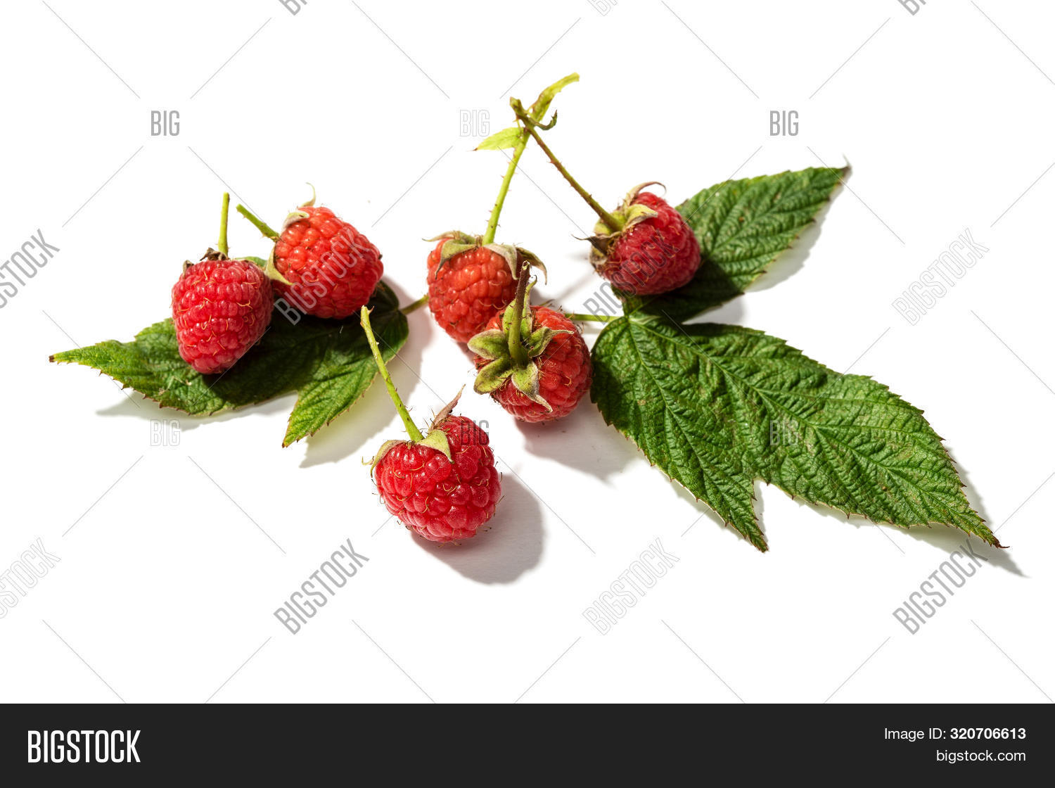 Fresh Raspberry Leaves Image & Photo (Free Trial) | Bigstock