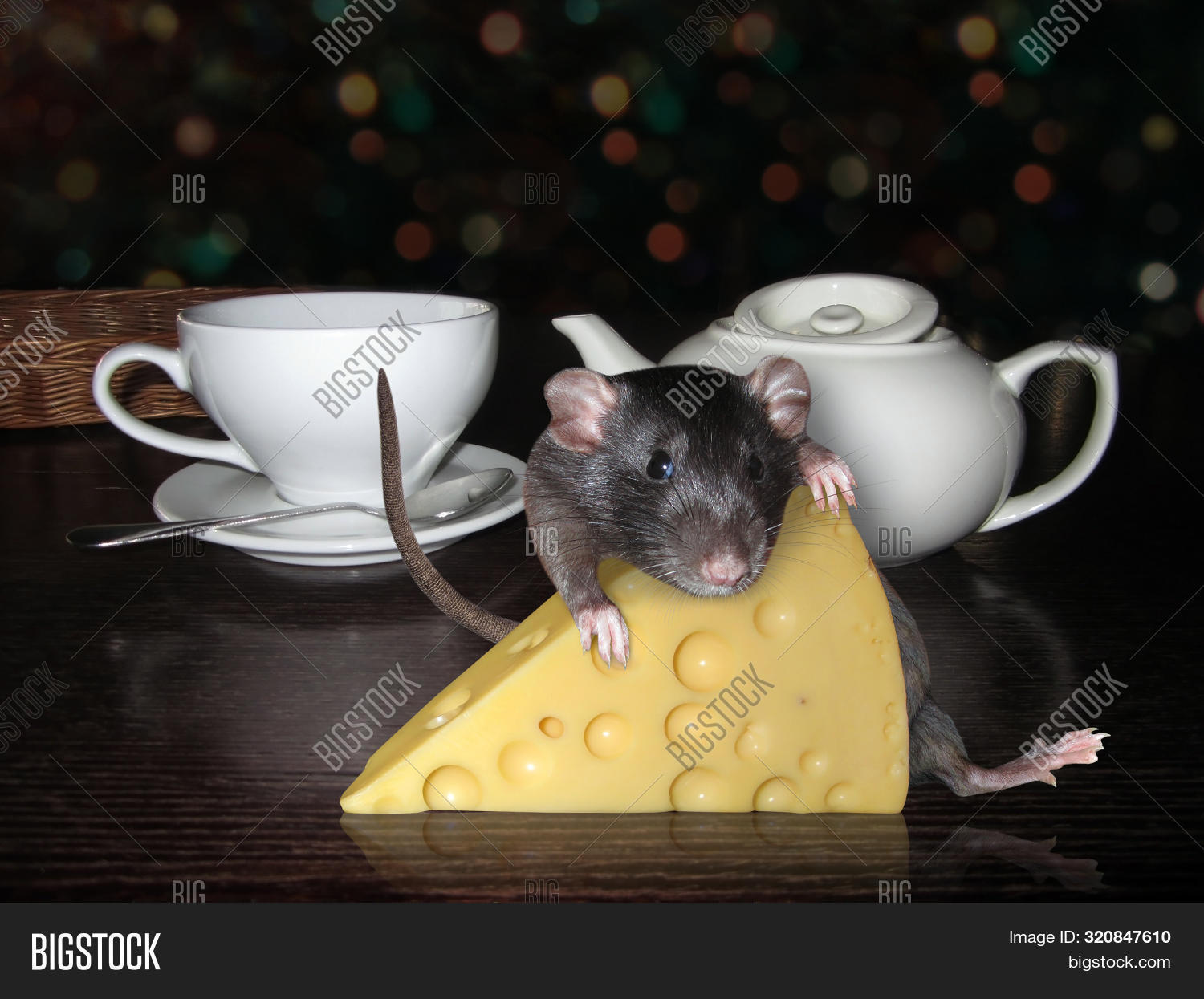 Rat Hugging Big Piece Image & Photo (Free Trial) | Bigstock