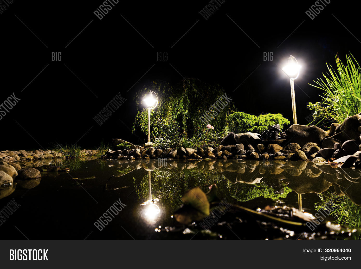 Garden Pond Night. Image & Photo (Free Trial) | Bigstock